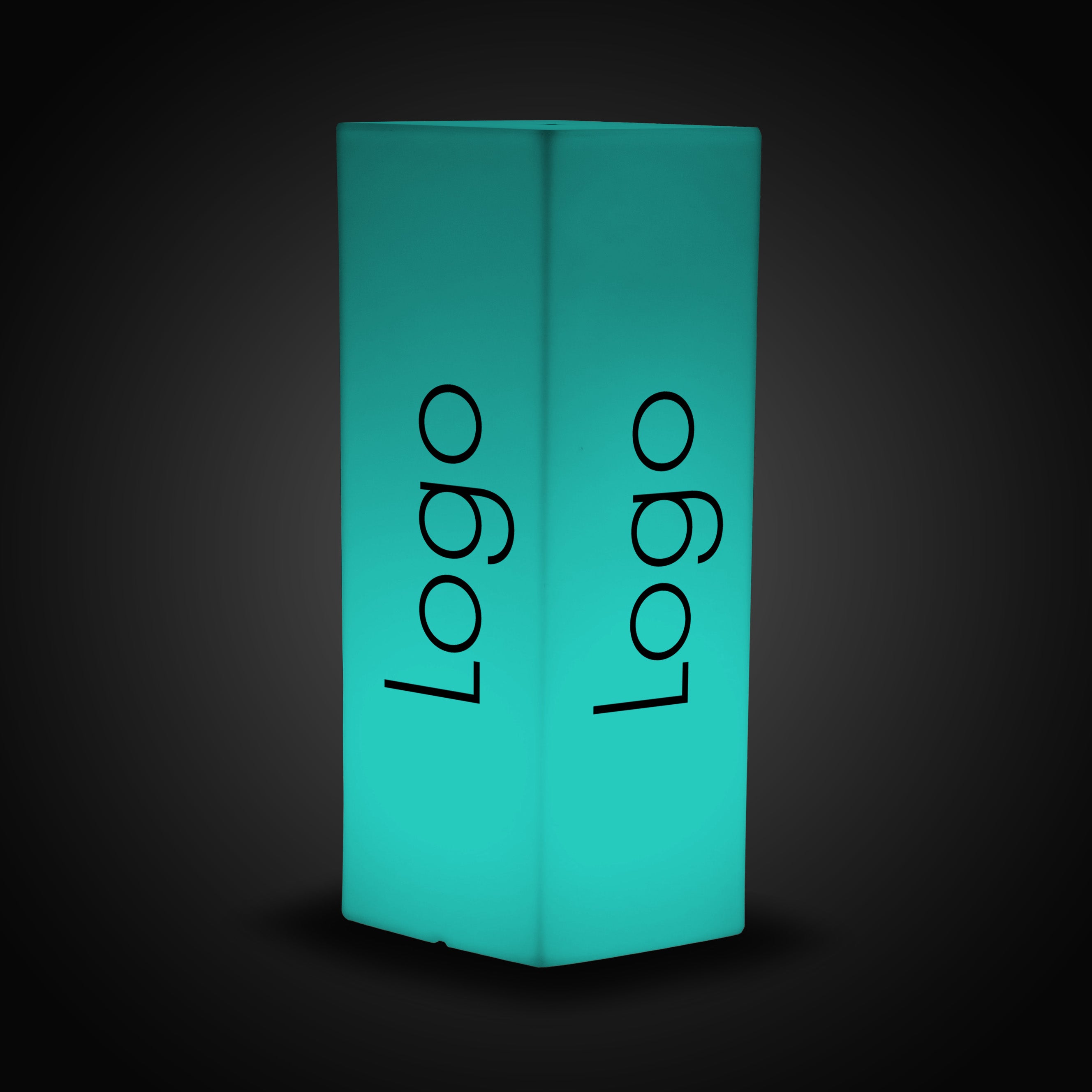 Expo Exhibition Logo Light Box Sign, Tall Illuminated Custom Branded C ...